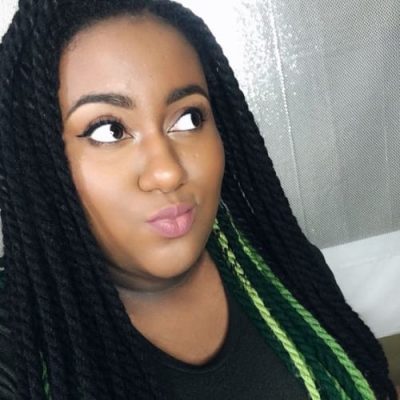Twist Braids: 65 Stunning Ways to Style & Protect Your Hair - My New ...