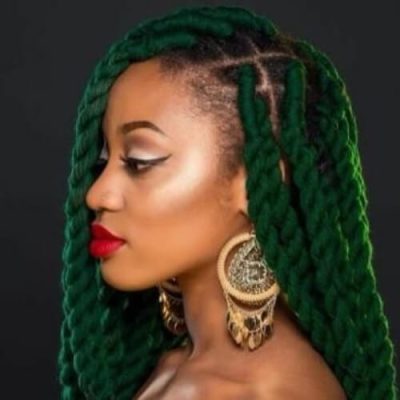 50 Stunning Kinky Twist Hairstyles for All Hair Types (with images ...